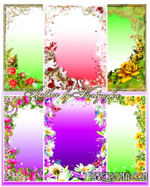Frames for photoshop - In the world of flowers