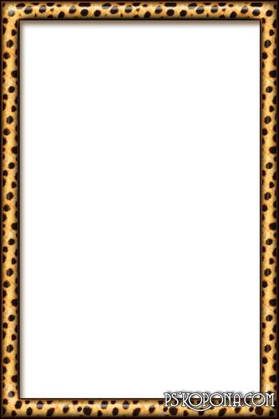 Safari Page Border