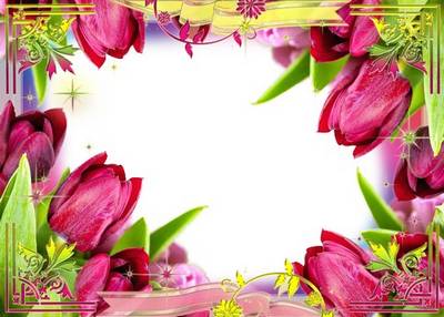 Flower Picture Frame- Spring color