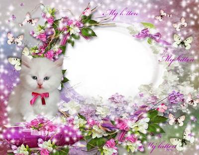 Three beautiful frames for photos-My kitten