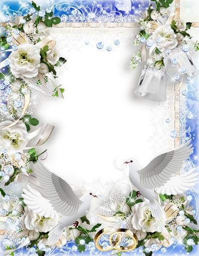 Delicate Wedding Frame - Two pigeon lovers
