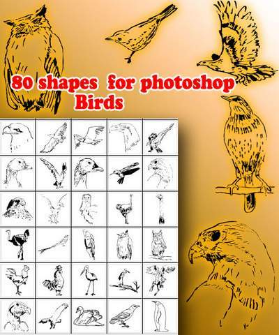 Birds - 80 Photoshop Shapes