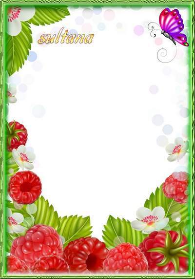 Berries frames, photo frames, PNG, PSD,