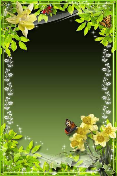 Photoframe - Spring Feelings. Transparent PNG Frame, PSD Layered Photo ...