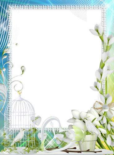 Frames - The first spring flowers