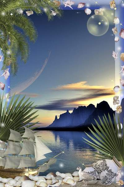 Frame - Sun, palm trees and sand. Transparent PNG Frame, PSD Layered ...