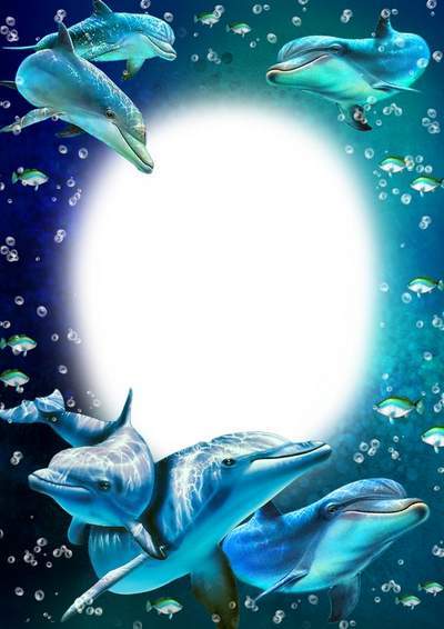 Sea frame psd with dolphins