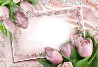 Frames - The first spring flowers