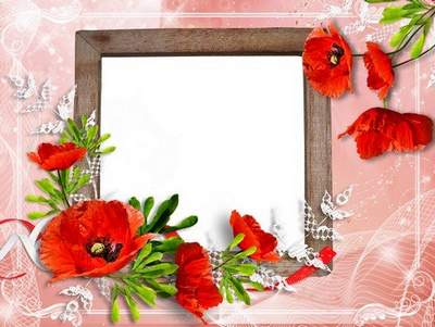 Frames - Spring Collection