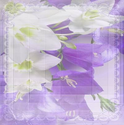Set backgrounds for photoshop - Beautiful flowers