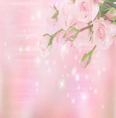Pink backgrounds for photo albums and presentations