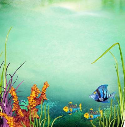 Set of variouse marine backgrounds for design - Fish, seaweed, seagulls ...