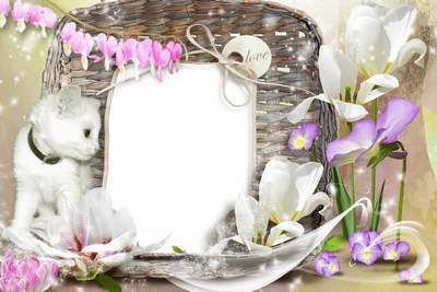 Frames for Photoshop - Mystery of Nature