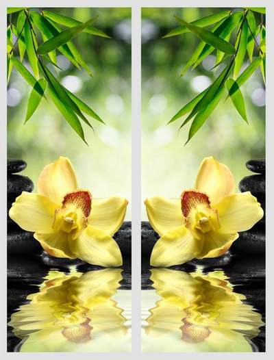 Flower Modular painting Diptych free psd template Orchids over water ...