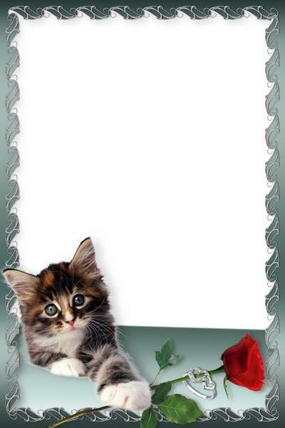 Romantic photo frame - We're all about the love will dream