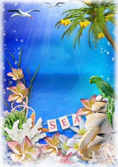 Sea frame psd download - Photoshop frame with dolphins. Transparent PNG ...