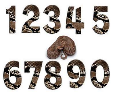 Numbers from fur PNG