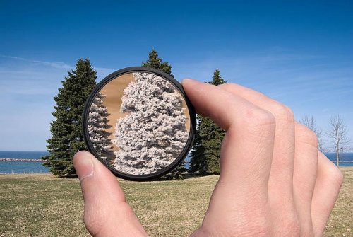 Psychology of photo perception