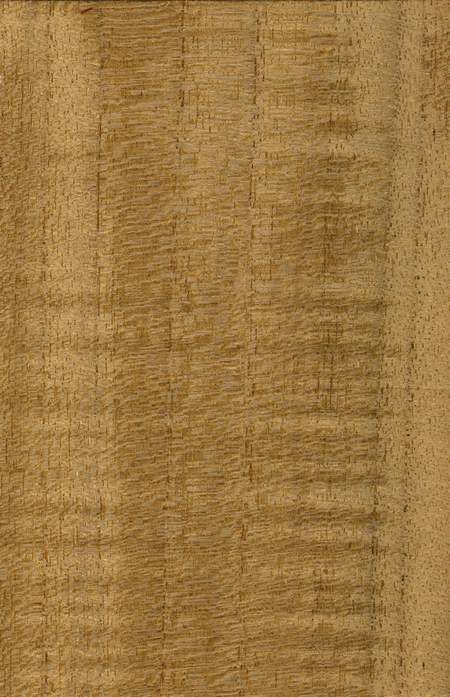 Textures of wood (Wooden textures pack