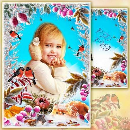 Winter frame for photo - Morning frost shines on the branches (free ...