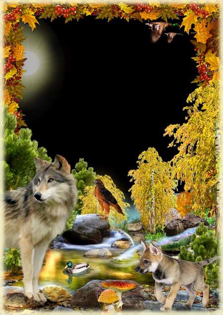 Nature Frame for photo - Autumn forest ( free photo frame psd free ...
