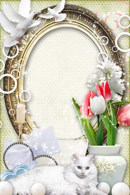 psd photo frames for Photoshop - Tenderness ( free 3 photo frame psd ...
