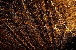 Golden glass textures