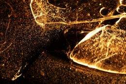 Golden glass textures