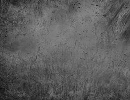 Grungy texture for design ( free textures, free download )