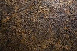 Leather texture mammals part 1