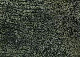 Leather texture mammals part 1