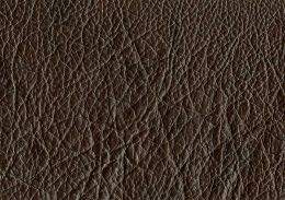Leather texture mammals part 1