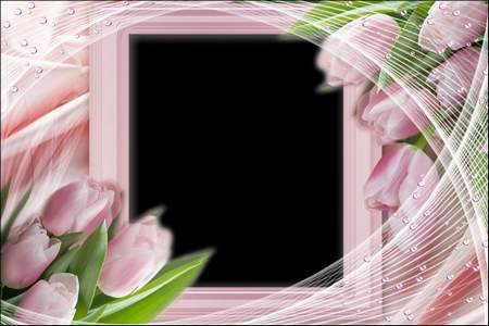 Flower Frame for photoshop - Pink tulips ( free Flower photo frame psd ...