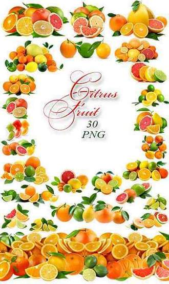 Citrus fruits png: orange, tangerine, lemon, lime, grapefruit ...
