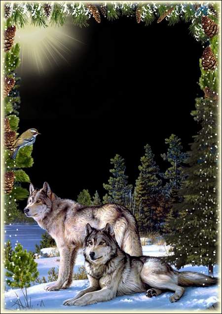 Winter landscape with wolves - Winter Frame for photo ( free photo ...