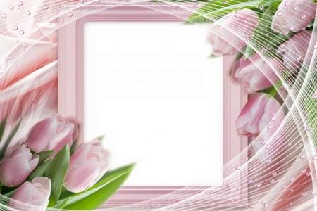 Flower Frame for photoshop - Pink tulips ( free Flower photo frame psd ...