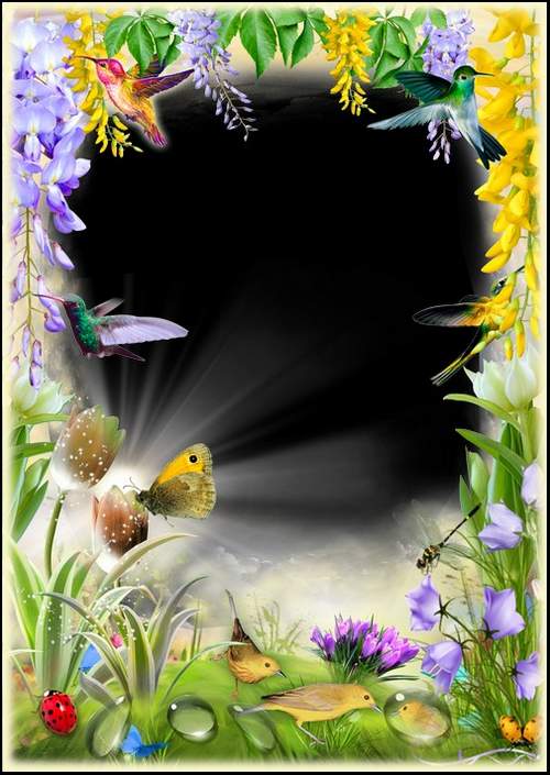 March 8 Frame for photo download (free photo frame psd free photo frame ...