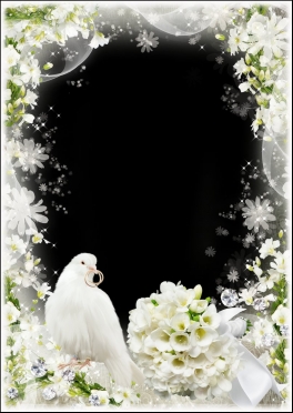 Set wedding framework for photoshop Part 4 ( free wedding photo frames ...