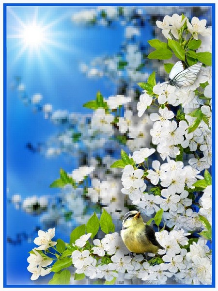 Nature Frame collage psd - Sun and Spring ( free Frame psd download )