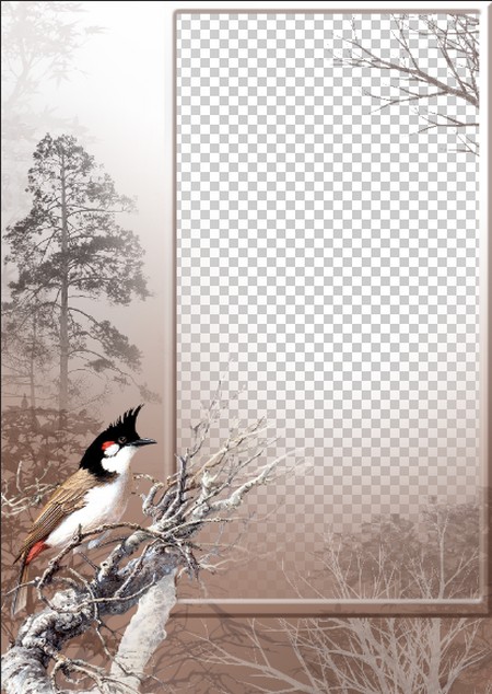 Frame for photo "Bird-2" (free photo frame psd + frame png download)