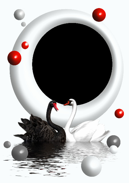 Frames for photo - Swans ( free 2 photo frame psd download )