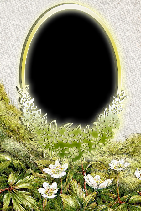 Frames for Photoshop - Delicate colors ( free Watercolor photo frames 9 ...