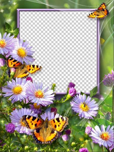 Photoshop frame template daisies download (free photo frame psd & free ...