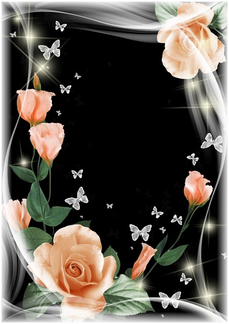 Frame for Photoshop - Beautiful rose ( photo frame png psd download )