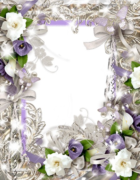 Flower Frame - Silver my mirror ( photo frame png