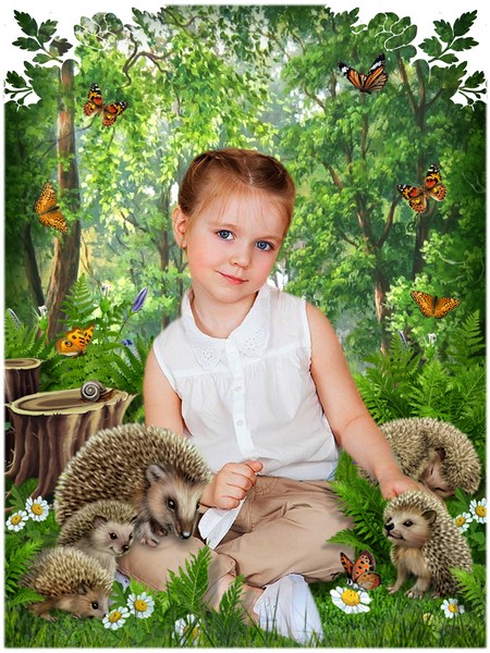 Summer Photo Frame collage psd download - In the nature with hedgehogs