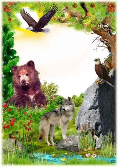 Nature frame download - flower photo frame template with orchids