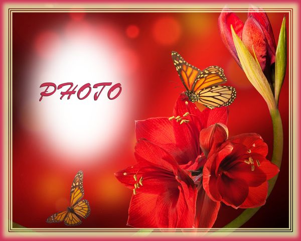 Frame for the photo - Color of passion