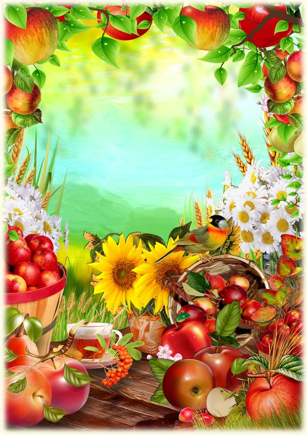 Summer photo frame apples harvest ( PSD, PNG, download )
