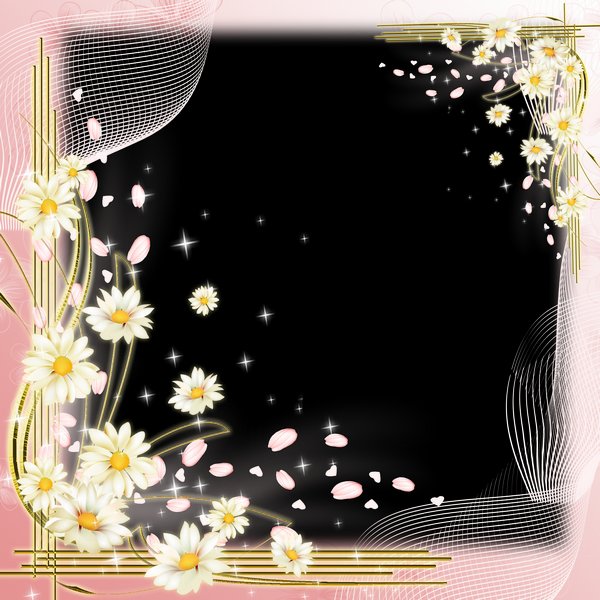 Flower Frame for photoshop - Delicate daisies, PSD, PNG, download